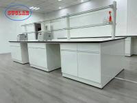 China White Phenolic Resin Worktop Laboratory Casework With Steel Frame Reagent Shelves for sale