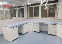 China Full Steel Chemistry  Lab Bench  Laboratory Casework Hong Kong With  Pp Sink And Silent Rail System for sale
