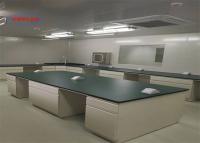 China Powder Coating Chemistry Lab Furniture Laboratory Casework Hong Kong Customizable And Professional for sale