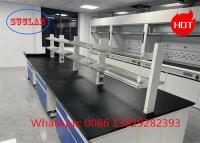 China C frame Chemical Resistant Lab Benches Price for High Performance Workstations with Safety Hinges for sale