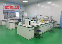 China Customized Made Color &  Size Chemistry Lab Bench Laboratory Casework Manufacturers Hong Kong for School & Hospital Lab Using for sale