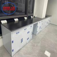 China Integrated PP  chemistry laboratory furniture design Hong Kong Storage Solution for sale