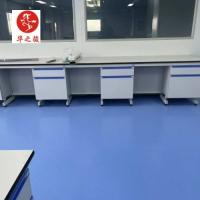 China Storage Chemistry Chemical  Lab Furniture Modern and Customizable for Laboratory Storage for sale