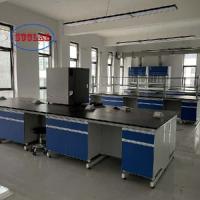 China China Chemistry Lab Bench Hong Kong with Stainless Steel Hinge and Phenolic Counter Tops for sale