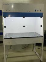 China Simple Ducted Fume Hood For Laboratory Fume Control,Chemical Fumes,Pharmaceutical Compounding for sale