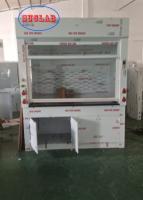 China Explosion-proof Fume Hood with Gas Scrubber Manufacturers 100m3/h Airflow Anti-static Safety System for sale