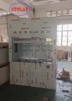 China Customized Made Fume Hood with Scrubber Tank Makers Wall Mounted Efficiency for sale