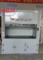 China Customized Made Fume Hood with Scrubber Tank Makers Wall Mounted Efficiency for sale