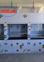 China Top-Rated Laboratory Fume Cupboard for Fume Hoods Factories 0-50C Temperature Range for sale
