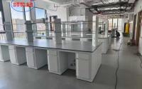 China Upgrade Your Lab with Modern and Durable Powder Coating Laboratory Workstation Furniture for sale