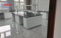 China Customizable Laboratory Workstation Furniture Manufacturer with Chemical-resistant Safety Features for sale
