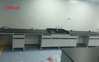 China Bespoke Laboratory Furniture Manufacturer with Modular Construction Acceptable OEM/ODM for sale