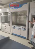 China 100m3/h Airflow Lab Fume Hood Supply Manual/Automatic Control System for Laboratory Safety for sale