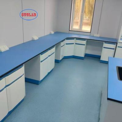 China Multi-Functional Laboratory Benches with Drawers Server Type OEM ODM for Industrial Lab for sale