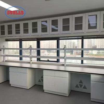 China Best Price Chemistry Laboratory Furniture Manufaturers Well-Designed Lab Workbench Solution for sale