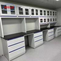 China Best Price Chemistry Laboratory Furniture Manufaturers Well-Designed Lab Workbench Solution for sale