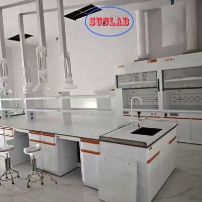 China Professional Chemistry Lab Furniture Modular Lab Furniture in Hong Kong for Customized Lab Furniture Design & Making Solutions for sale
