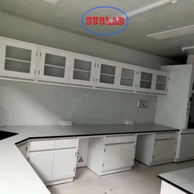 China Full Steel Chemistry Laboratory Benches Featuring Steel Cabinets Corrosion Resistant and Easy to Maintain for sale