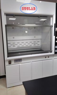 China Custom Laboratory Fume Hood Manufacturers With Strong Powerful Ventilation System Ideal for Laboratory Chemical Fume Extraction for sale