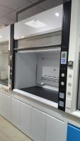 China Custom Laboratory Fume Hood Manufacturers With Strong Powerful Ventilation System Ideal for Laboratory Chemical Fume Extraction for sale