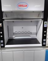 China Customized Laboratory Fume Hood Equipped with Activated Carbon Filter System Providing Protection and Air Filtration for sale