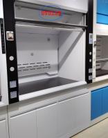 China Customized Laboratory Fume Hood Equipped with Activated Carbon Filter System Providing Protection and Air Filtration for sale
