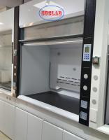 China Customized Laboratory Fume Hood Equipped with Activated Carbon Filter System Providing Protection and Air Filtration for sale