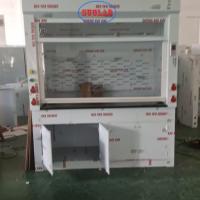 China Customized Fume Cupboard with Scrubber Providing Advanced Chemical Fume Extraction and Air Purification Capabilities for sale