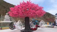 China High Durability Interactive Blossom Tree Swing Playground Equipment for sale