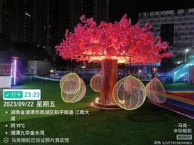 China Customizable Interactive Blossom Tree Swing Playground Equipment Low Maintenance Easy To Clean for sale