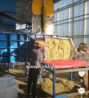 China Pet bedding package baler machine wood shaving hydraulic baling machine for sale