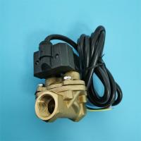 China Automatic LPG Dispenser Solenoid Valve Fuel Pump 12V Petrol Solenoid Valve for sale