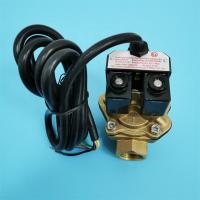 China Automatic LPG Dispenser Solenoid Valve Fuel Pump 12V Petrol Solenoid Valve for sale