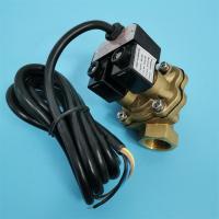 China Automatic LPG Dispenser Solenoid Valve Fuel Pump 12V Petrol Solenoid Valve for sale