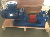 China Portable Diesel Dispenser Parts LPG Transfer Pump For Fuel Gas Filling 48V-220V for sale