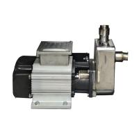 China Good quality BERNET Stainless DEF25S Adblue pump UREA pump for DEF dispenser for sale