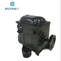 China Bernet High Speed Cast Iron Tokheim Type Gear Pump for Fuel Dispenser for sale