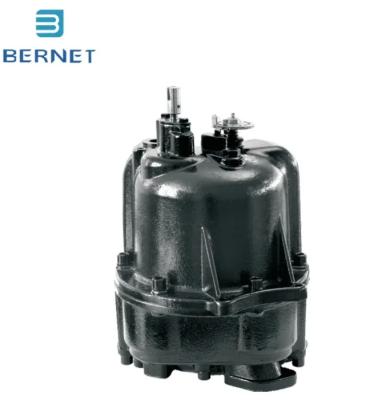 China Bernet High Flow Rate Long Life Service Cast Iron Flow Meter for Fuel Dispenser for sale
