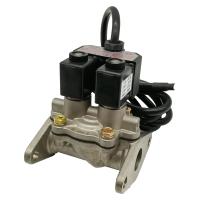 China Bernet Full Stainless 220VAC 12/24VDC Adblue Solenoid Valve for Urea Dispenser for sale