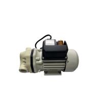 China Bernet Cheap Price High Power Anti-corrosion Plastic Adblue Electric Pump for DEF Dispenser for sale