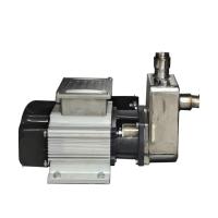 China Bernet Durable Anti-corrosion Stainless Steel High Power Electric Adblue Pump for DEF Dispenser for sale