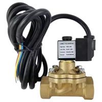 China Inner Thread Bernet Band Solenoid Valve for Fuel Applications for sale