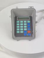 China Bernet Manual Fuel Dispenser Petrol Service Equipment with Controlled Keypad Structure for sale