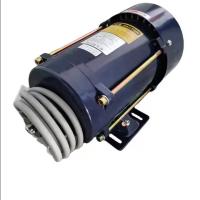 China Bernet 0.75kW AC220V Single Phase Electric Motor for Fuel Dispenser for sale