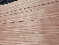 China Spanish Cedar Natural Wood Veneer Flat Cut Quarter Slicing 0.6mm for Interior Decoration for sale