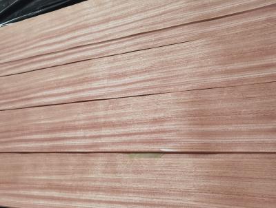 China Spanish Cedar Natural Wood Veneer Flat Cut Quarter Slicing 0.6mm for Interior Decoration for sale