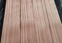 China Spanish Cedar Natural Wood Veneer 8-40cm Width for Rotary Cut Products for sale