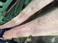 China Natural Spanish Cedar Wood Veneer 0.5mm Flat Cut Quarter Slicing for Cigar Cabinets Furniture for sale