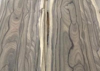 China Ciricote Ziricote Natural Wood Veneer 8-40cm Width for Luxury Furniture and Instruments for sale
