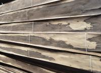 China Ciricote Ziricote Natural Wood Veneer 0.5m to 3.6m Length for Luxury Furniture for sale